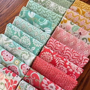 Tango Fabric Bundle by Kate Spain From Moda - Etsy