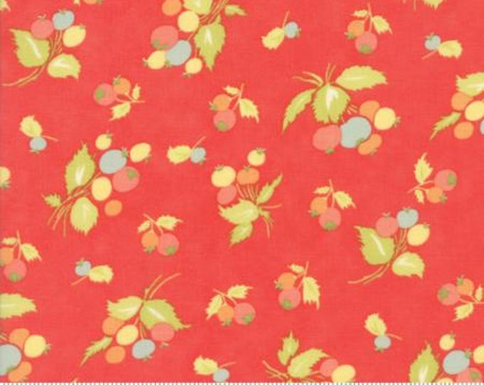 Pom Pom De Paris Fabric by French General From Moda Rare Out of Print ...