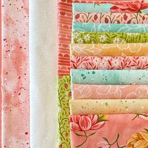 Cordelia Quilt Kit With Kindred Fabric by 1 Canoe 2 From Moda - Etsy