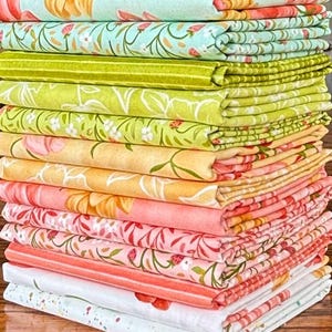 Kindred Fabric Bundle by 1 Canoe 2 From Moda - Etsy