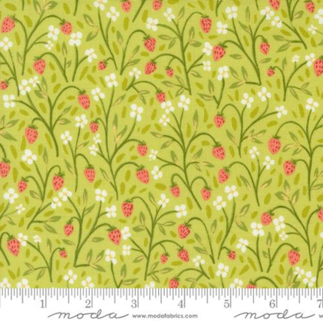 Kindred Fabric by 1 Canoe 2 From Moda 36071 15 Meadow - Etsy