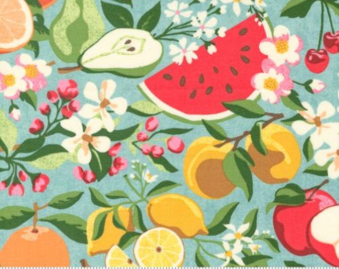 Moda Fruit Loop Fabric by Basic Grey From Moda 30730 16 Jenipapo - Etsy