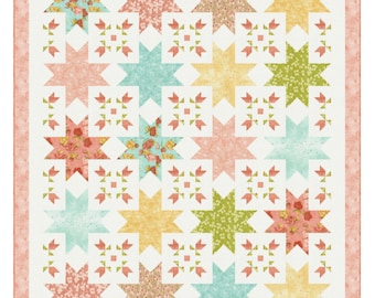 Ladies Scrap Basket Quilt Kit With Unity Collection for a Cause Fabric ...