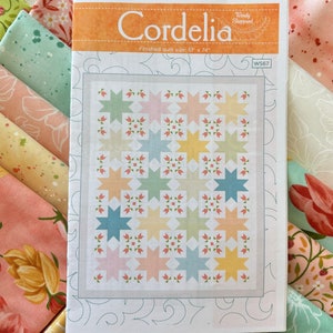 Cordelia Quilt Kit With Kindred Fabric by 1 Canoe 2 From Moda - Etsy