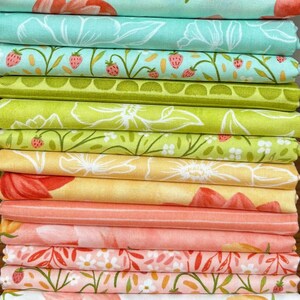Kindred Fabric Bundle by 1 Canoe 2 From Moda - Etsy