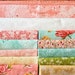 Cordelia Quilt Kit With Kindred Fabric by 1 Canoe 2 From Moda - Etsy