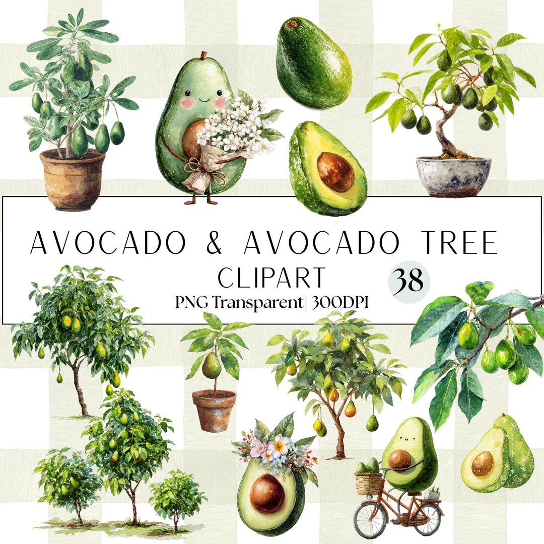 38 Avocado Watercolor Clipart Bundle: Kawaii Fruit, Trees, and Plants ...