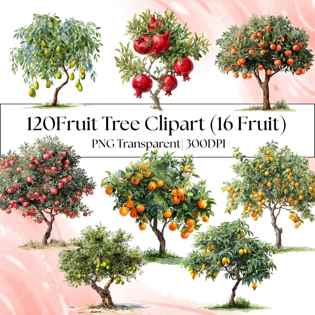 120 Watercolor Fruit Trees Clipart Bundle: Transparent PNG (digital ...