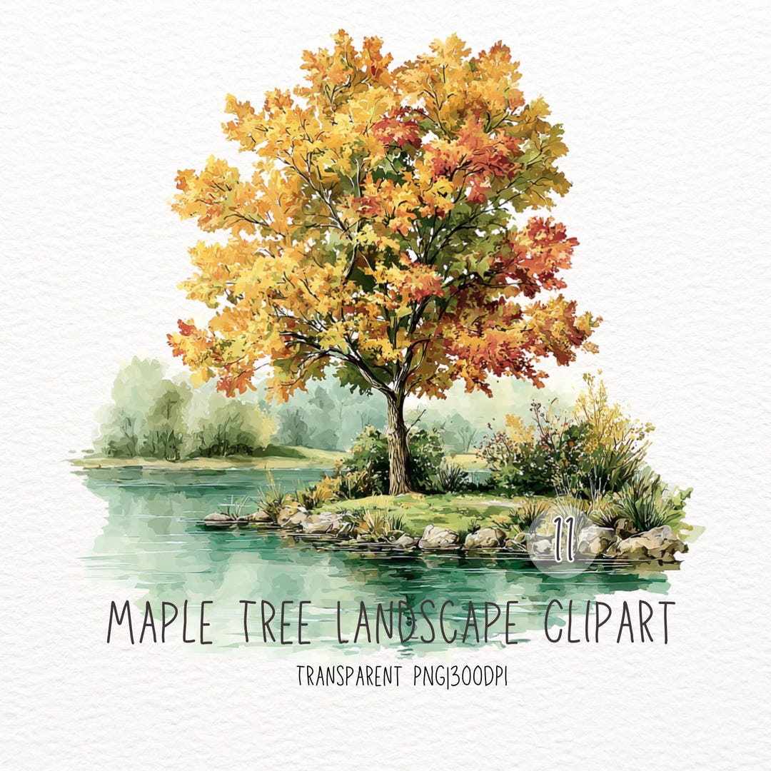 11 Maple Tree Landscape Clipart | Watercolor Autumn Nature PNG ...