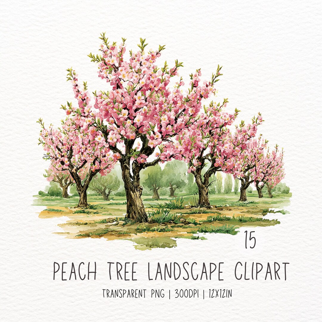 15 Peach Tree Landscape Clipart| Watercolor Spring Nature Digital ...