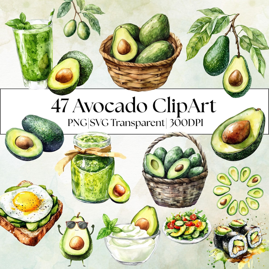 47 Watercolor Avocado Clipart|realistic Food|green Avocado Art, Digital ...