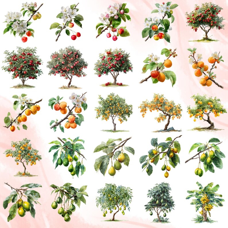 120 Watercolor Fruit Trees Clipart Bundle: Transparent PNG (digital ...