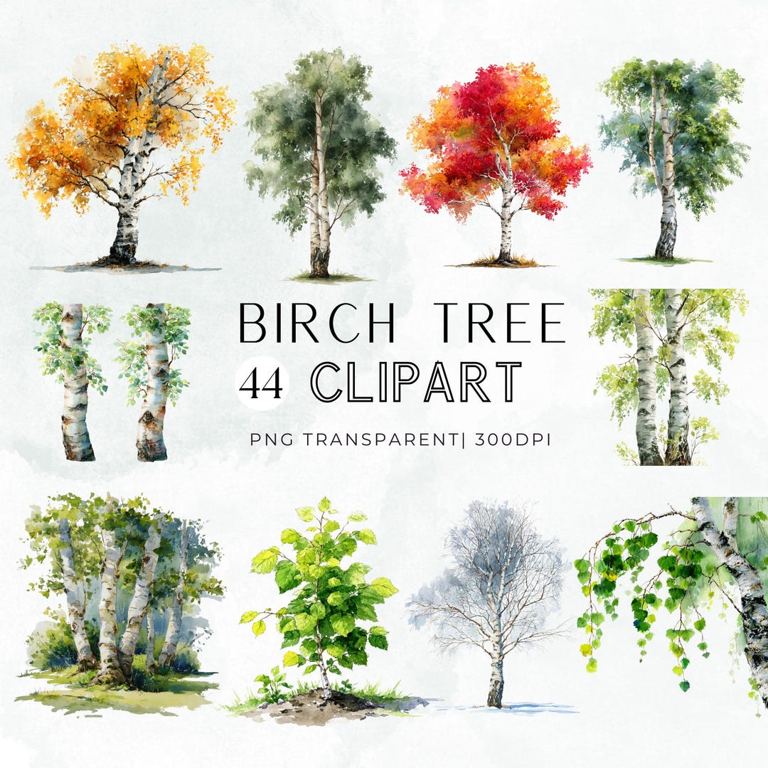 44 Birch Tree Clipart Bundle |watercolor Birch Trees, Branches & Bark ...
