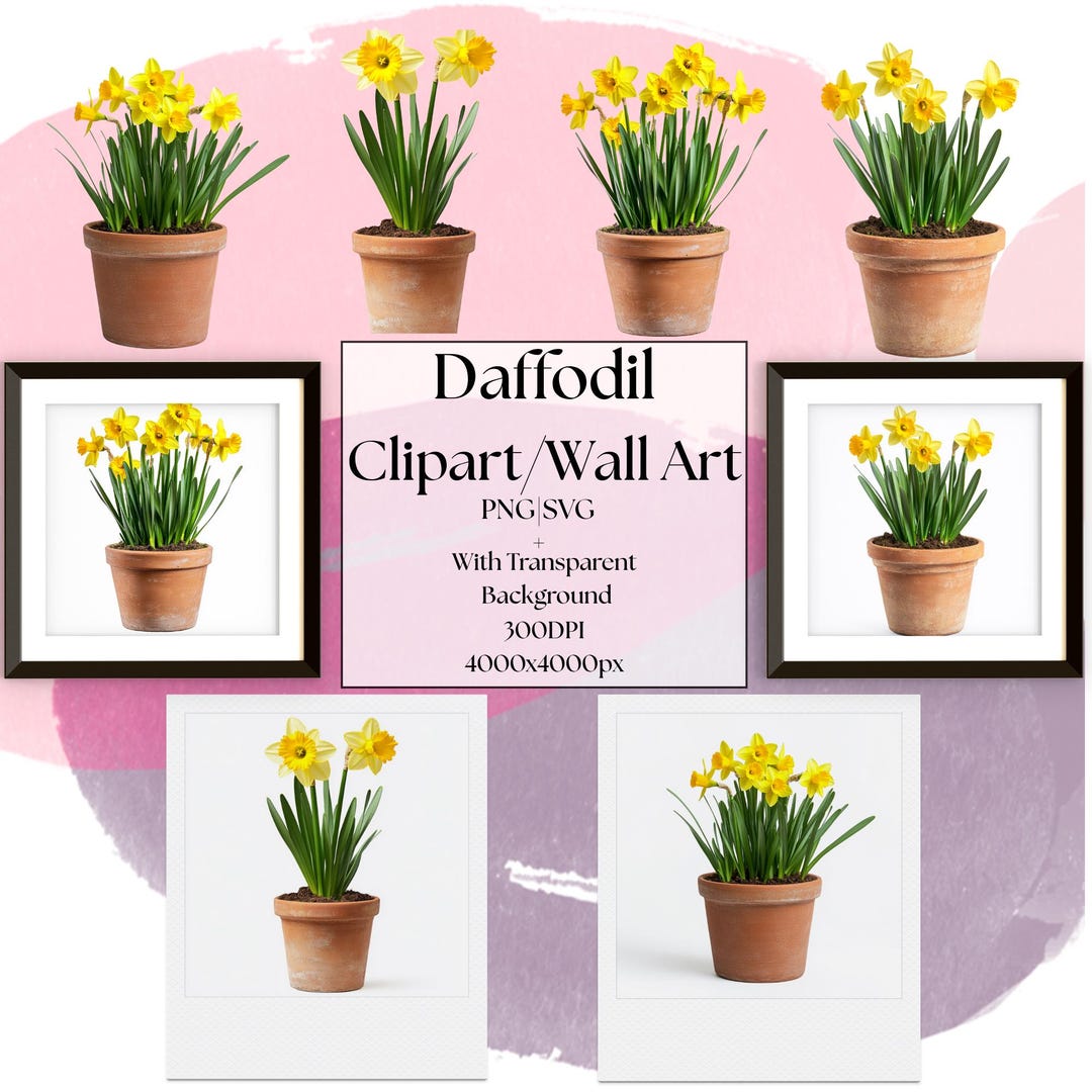 Daffodil Flower Pot Clipart & Wall Art| Bright Yellow Spring Botanical ...