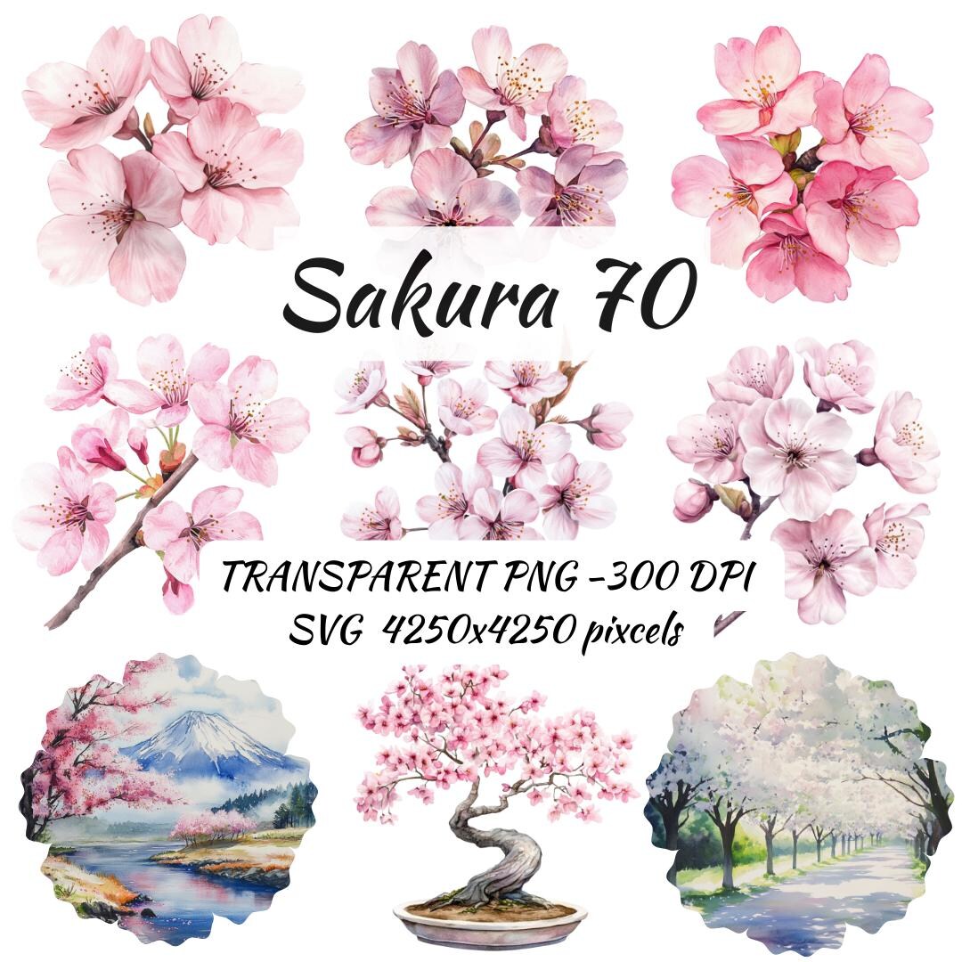70 Watercolor Cherry Blossom Clipart Bundle: Sakura (PNG Transparent ...