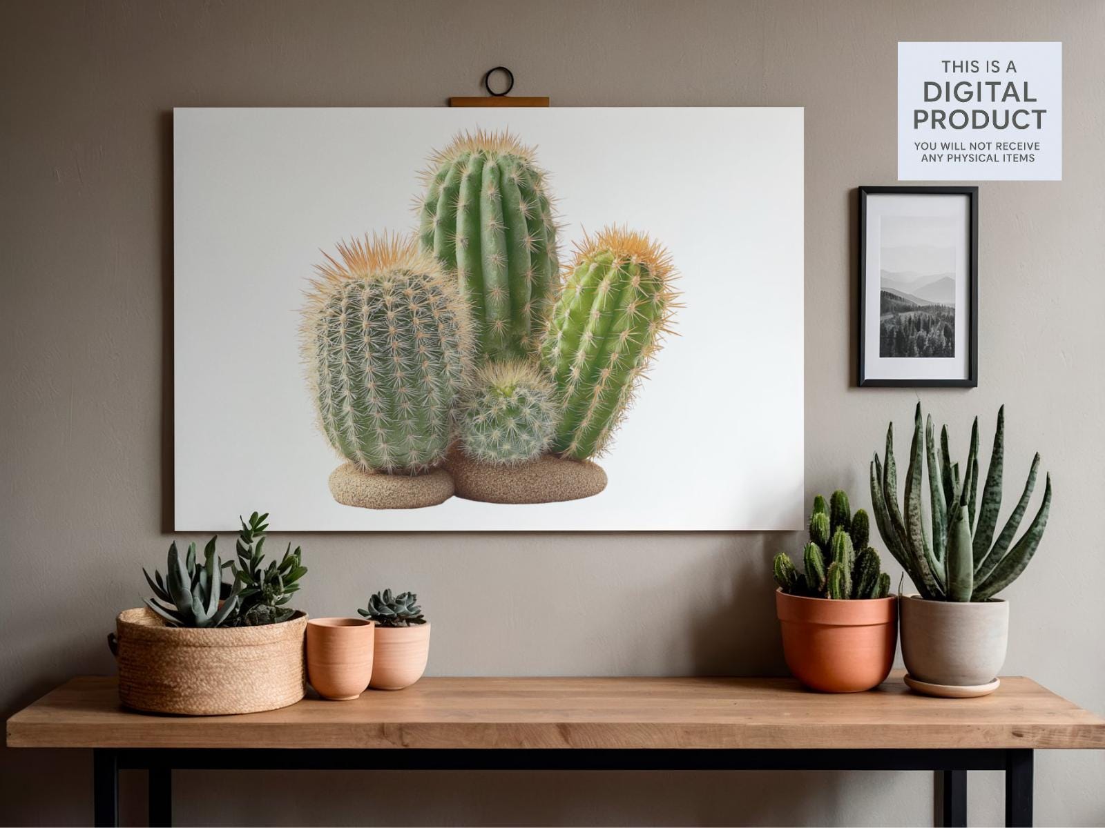 Pacote com 44 imagens de cactos e suculentas | Cactos floridos ...