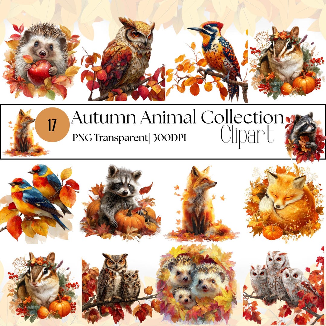 17 Vibrant Autumn Animals Clipart Bundle| Cute Forest Animals Digital ...