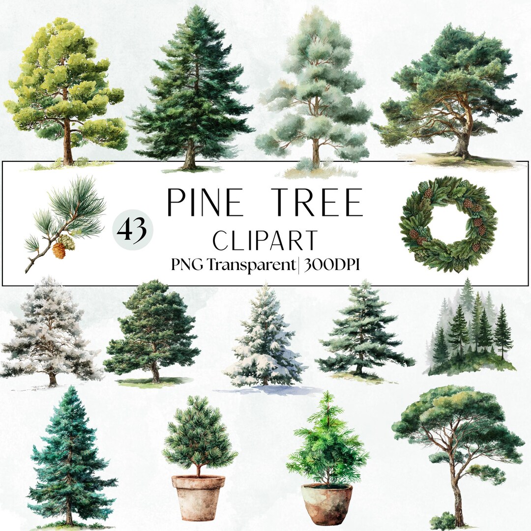 43 Watercolor Pine Tree Clipart Bundle: Evergreen Forest PNG ...