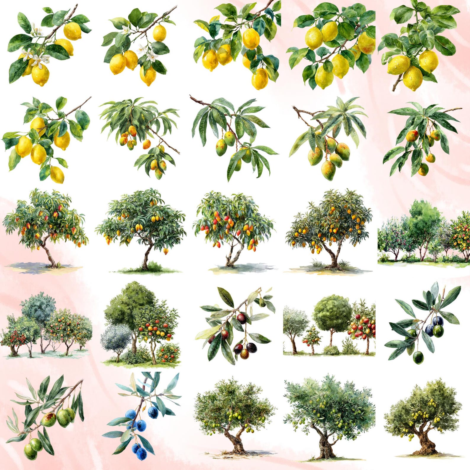 120 Watercolor Fruit Trees Clipart Bundle: Transparent PNG (digital ...