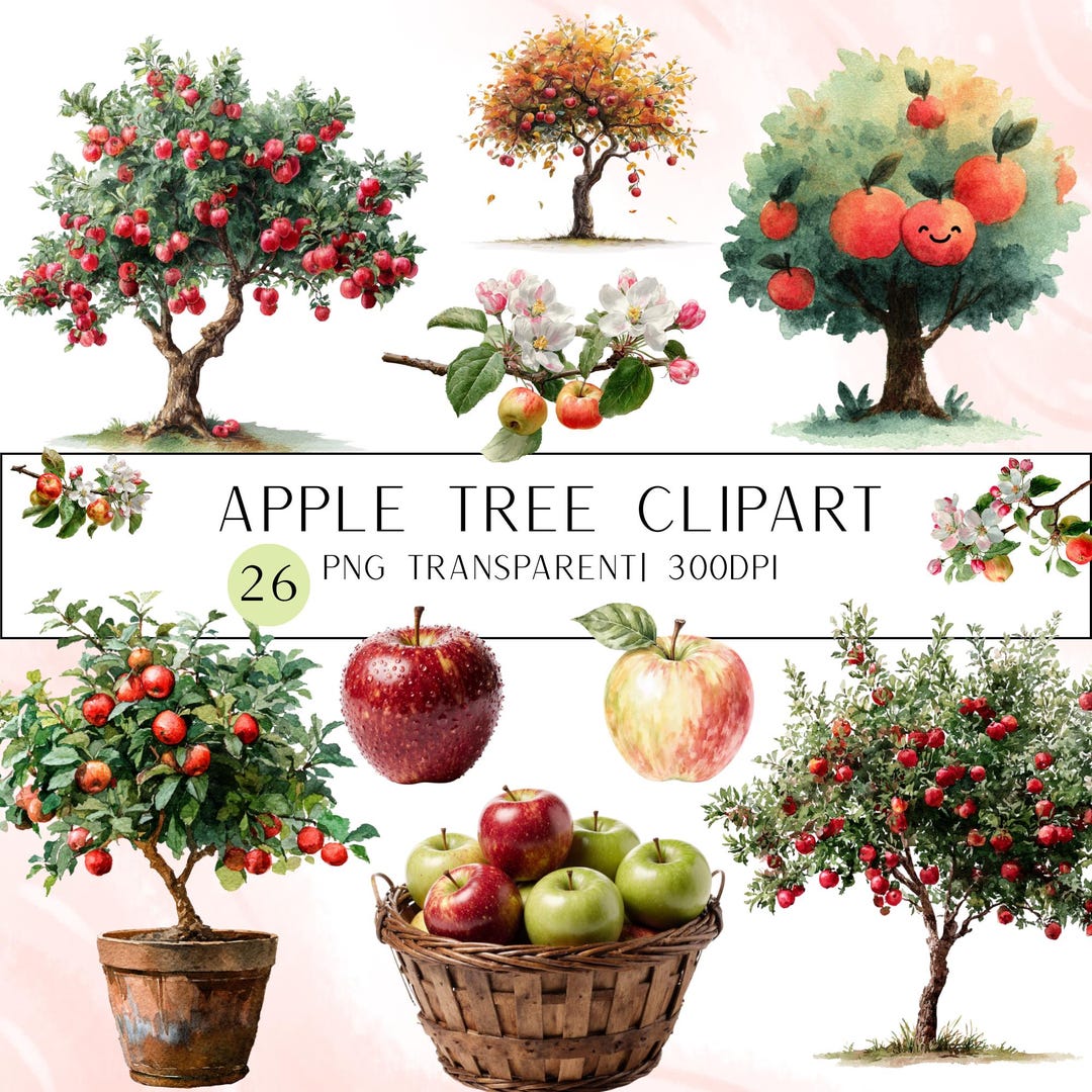 26 Apple Tree Clipart | Watercolor & Realistic Apple Illustrations ...