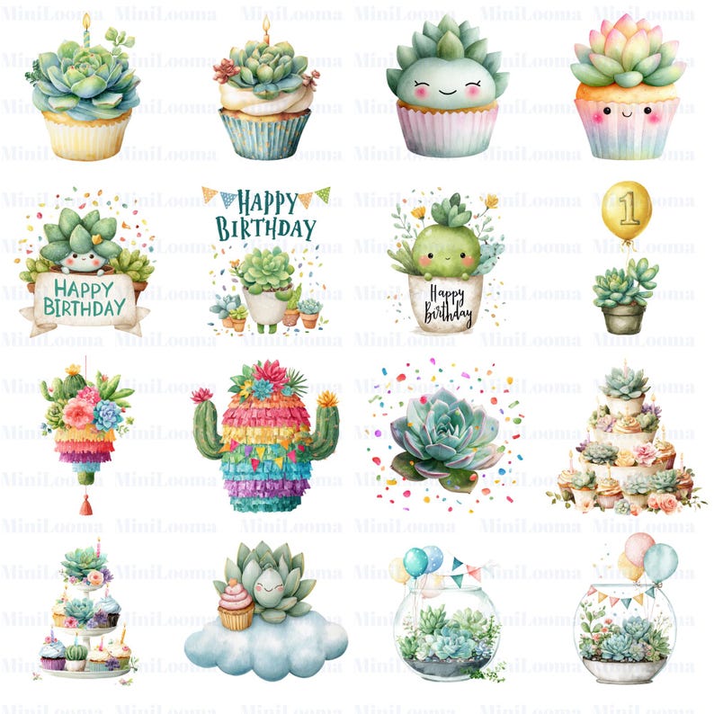 60 Succulent 1st Birthday Clipart Set | PNG Transparent | 300DPI - Etsy