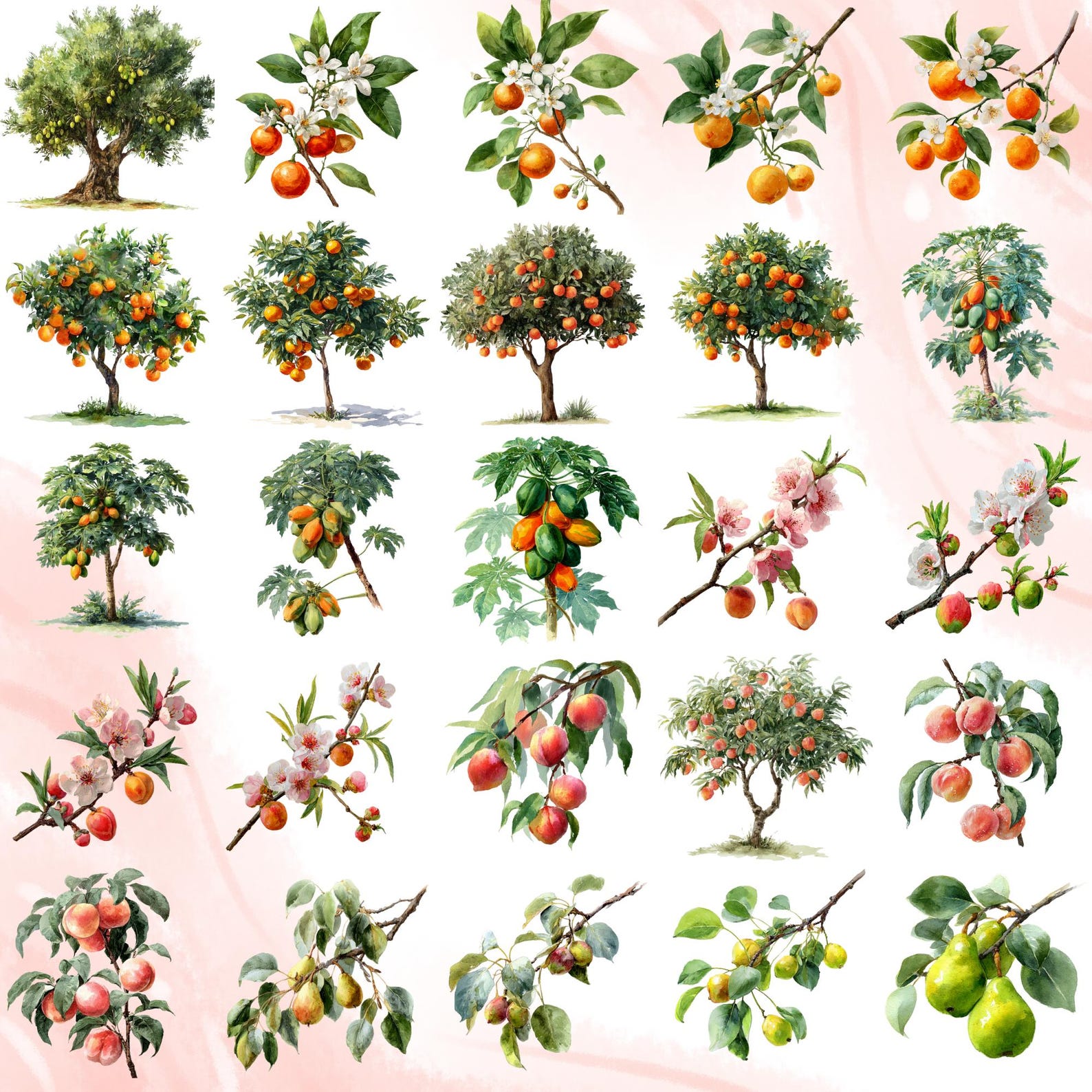 120 Watercolor Fruit Trees Clipart Bundle: Transparent PNG (digital ...