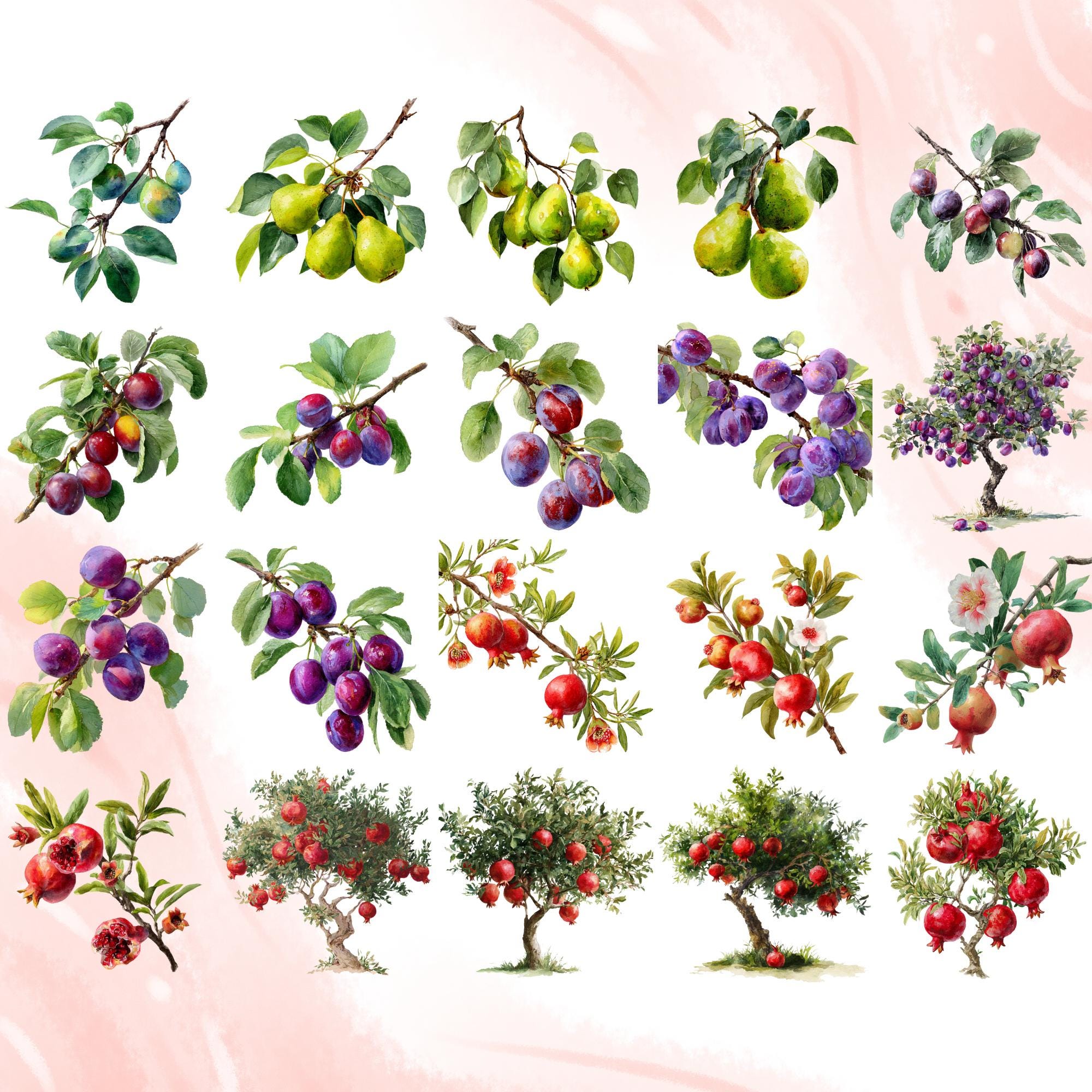 120 Watercolor Fruit Trees Clipart Bundle: Transparent PNG (digital ...