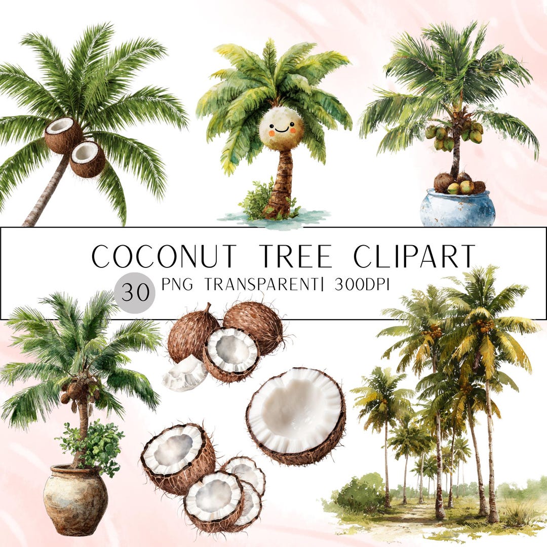 30 Coconut Tree Clipart Bundle: Watercolor Tropical Illustrations (PNG ...