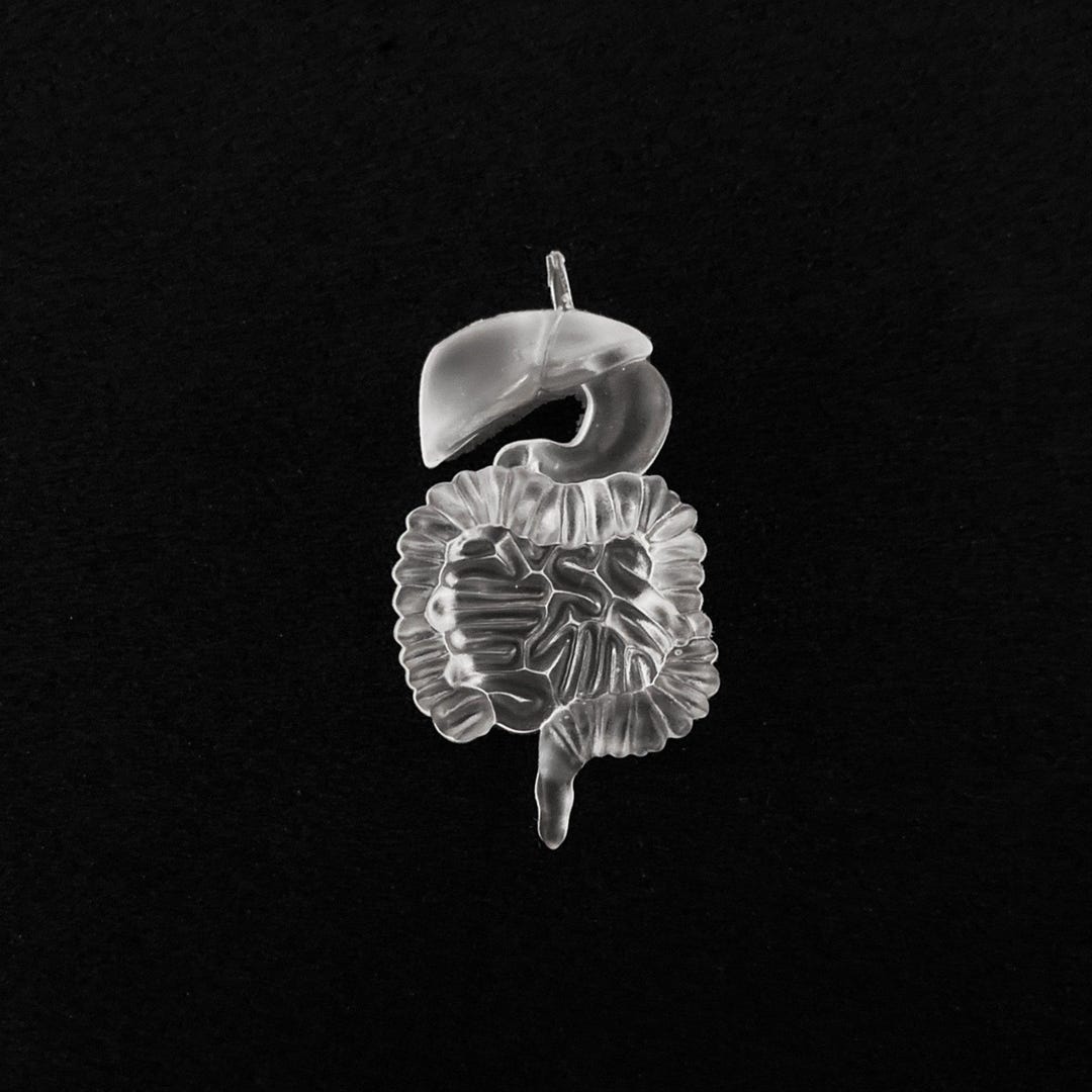 Clear Silicone Mold – 3D Internal Organs (35mm) | Compatible With UV ...