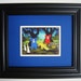 George Rodrigue Blue Dog "she Lived Across the Bayou" Promotional ...