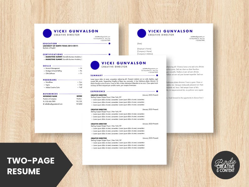 Classic Sans Serif Resume Template for Professionals | Professional CV ...