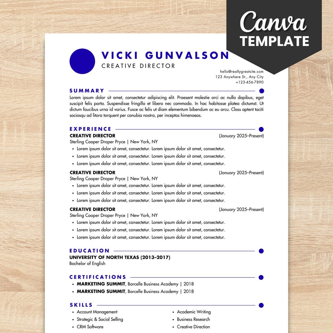 Classic Sans Serif Resume Template for Professionals | Professional CV ...