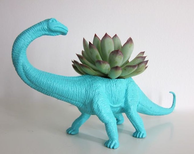 Aster the Apatosaurus Planter & Succulent - Etsy
