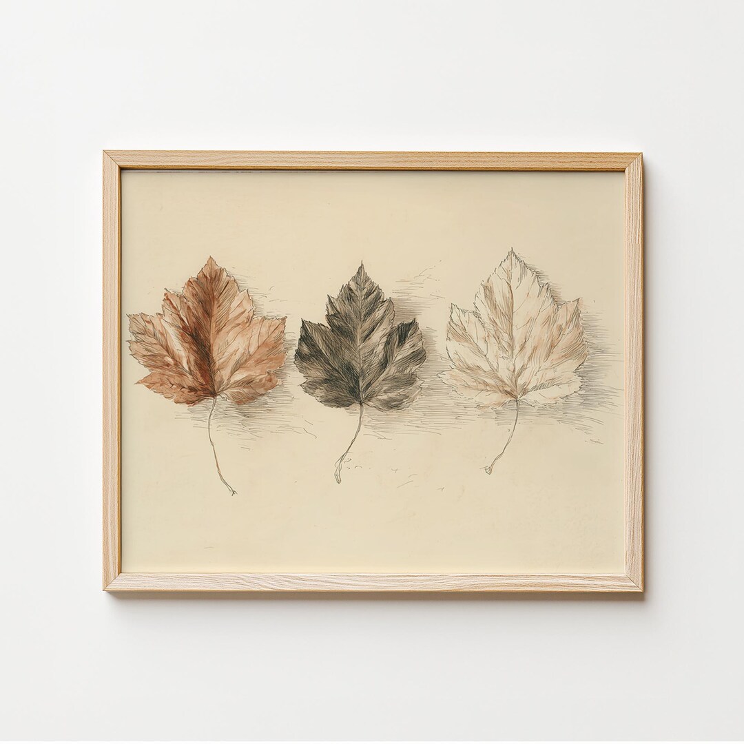 Vintage Maple Leaf Poster, Neutral Autumn Botanical Sketch in Muted ...