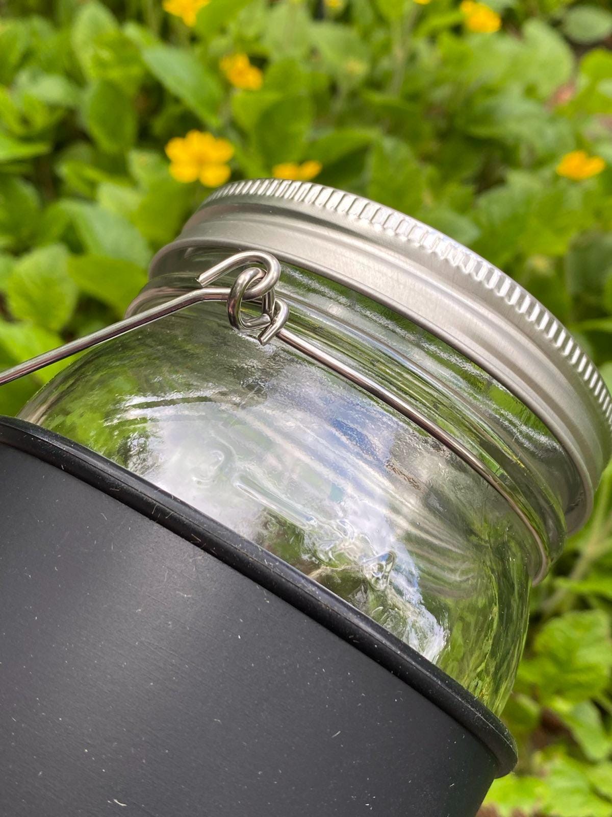 Eco-friendly: Hanging Garden Art Mini Mosquito Larvae Trap Kit ...