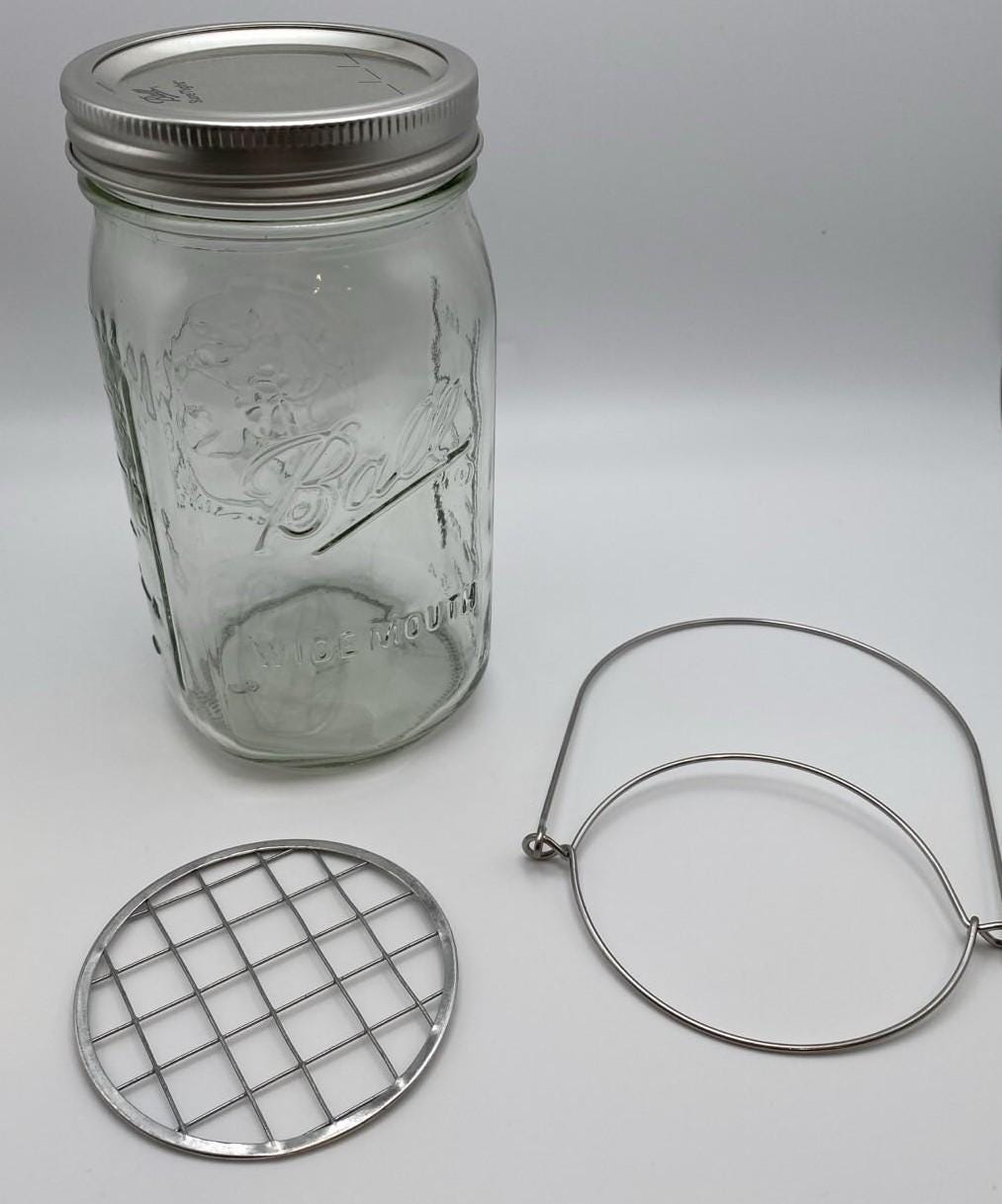 Eco-friendly: Hanging Garden Art Mini Mosquito Larvae Trap Kit ...