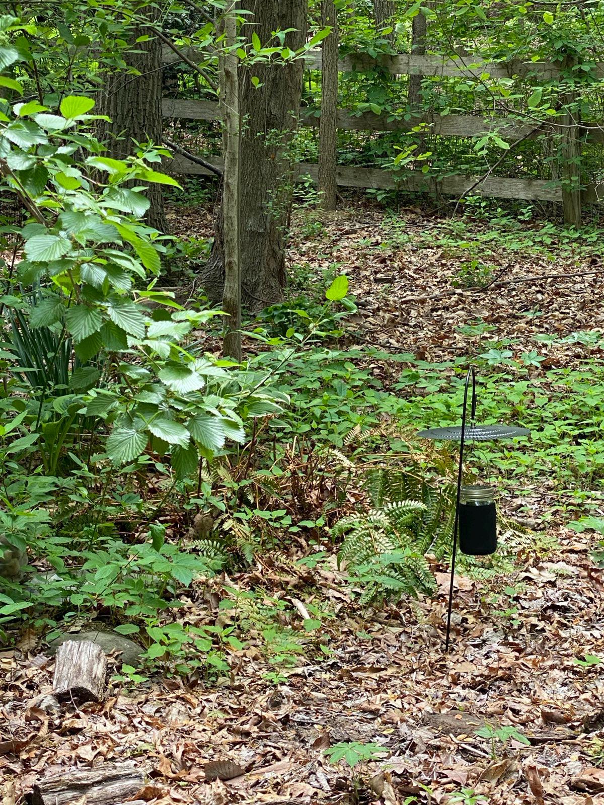 Mosquito Larvae Trap Maintenance Tracker and Tips - Excel Workbook ...