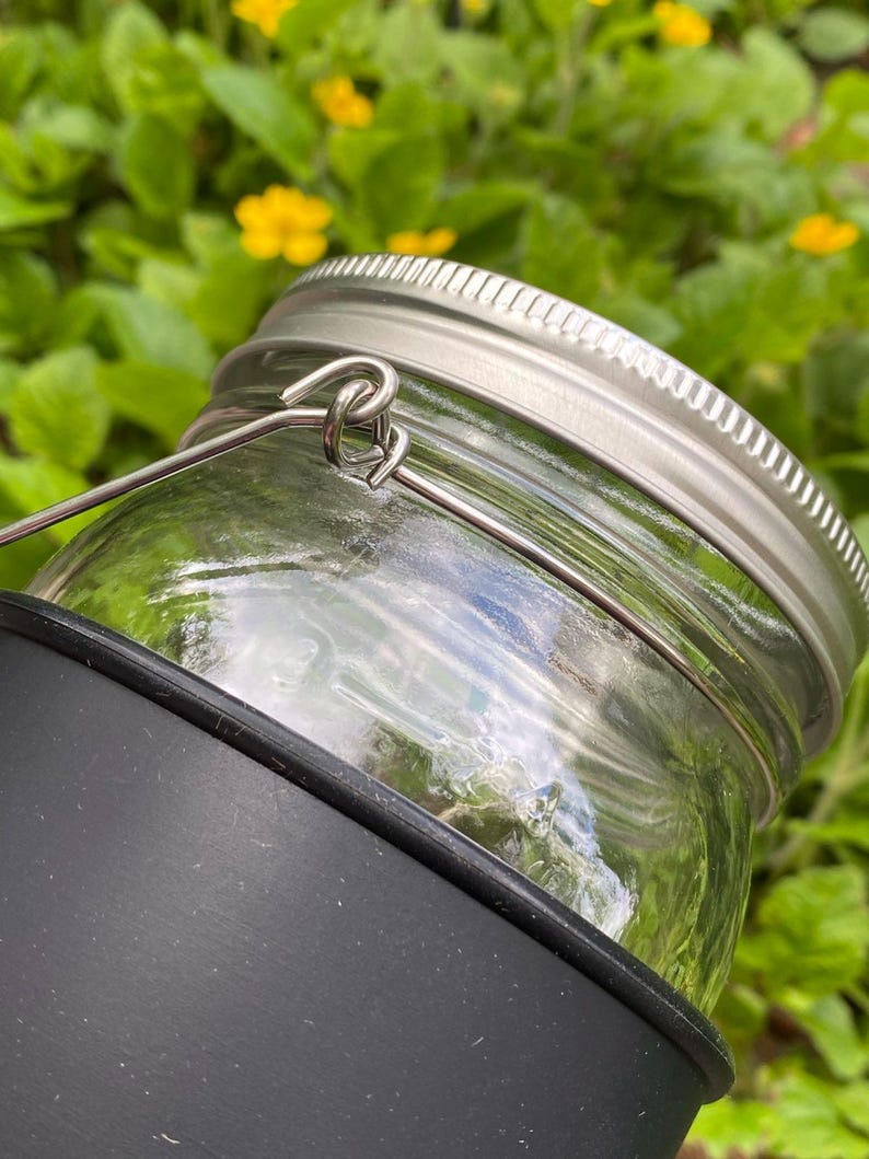 2 - Reduce Mosquitoes With Larvae Trap Kits - Hanging Mason Jar ...