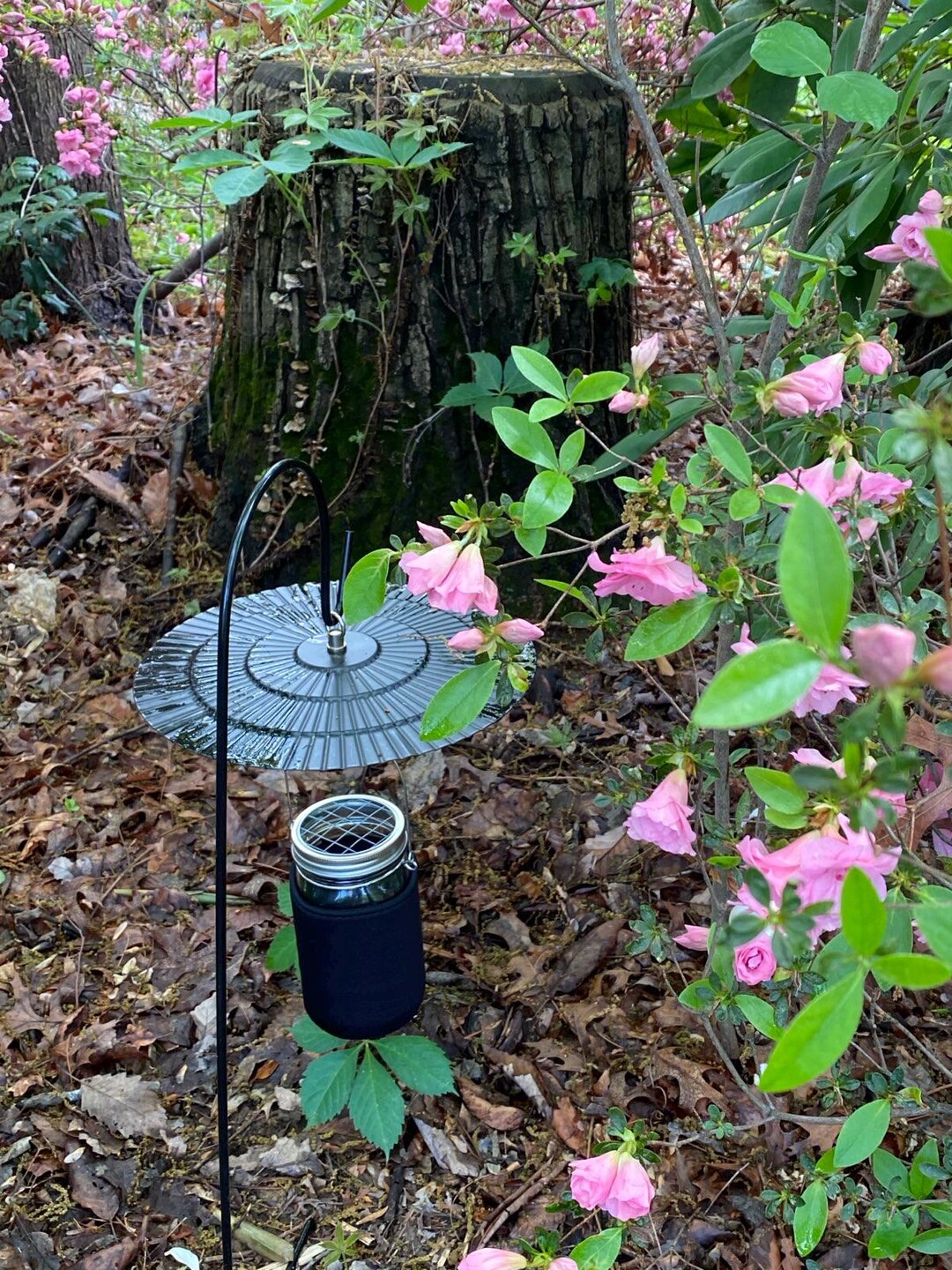 Stop the Bite: 2 Hanging Mini Mosquito Larvae Trap Kit (neoprene + Rain ...