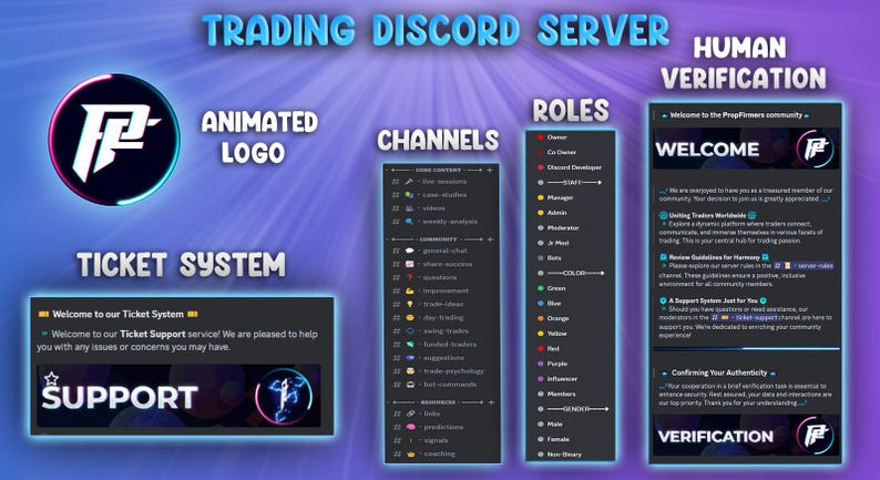 Custom Discord Server Setup: Animated Logo & Banners - Etsy