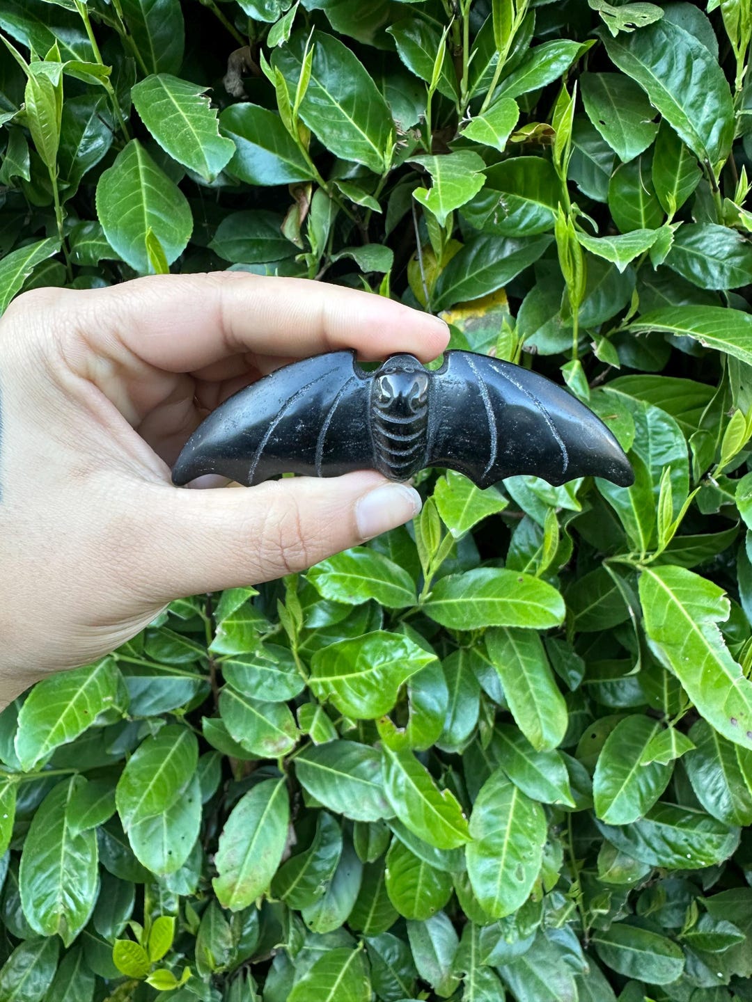Black Obsidian Bat Crystal Carving - Etsy