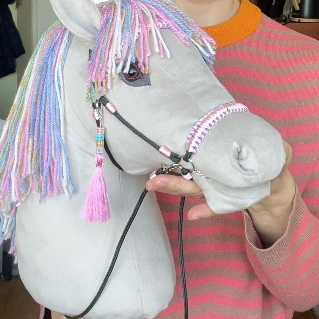 Handmade Hobby Horse – Light Gray Stick Horse With Rainbow Mane - Etsy