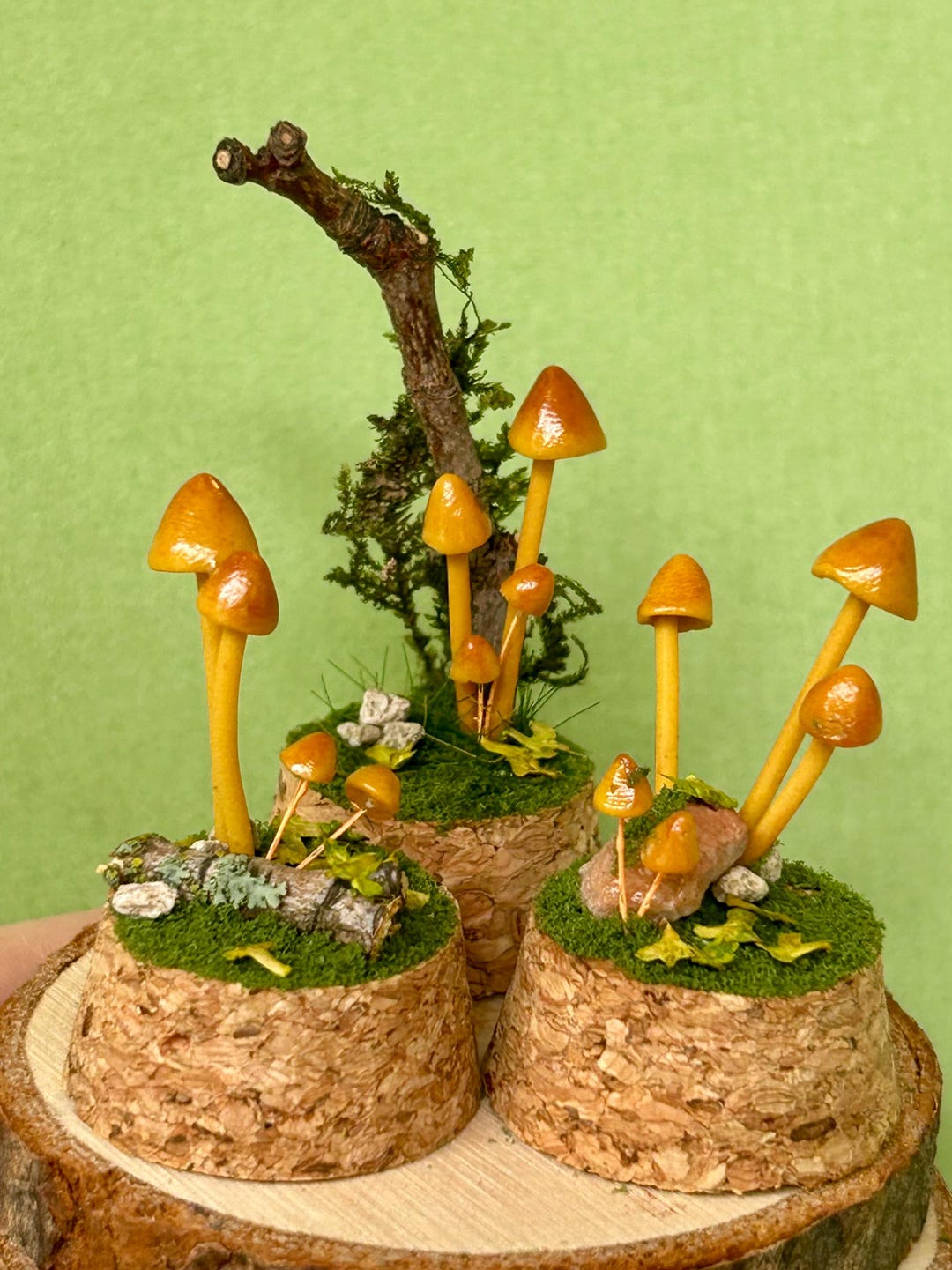 Miniature Glass Cloche Bundles Diorama Mini Mushrooms Cottagecore ...