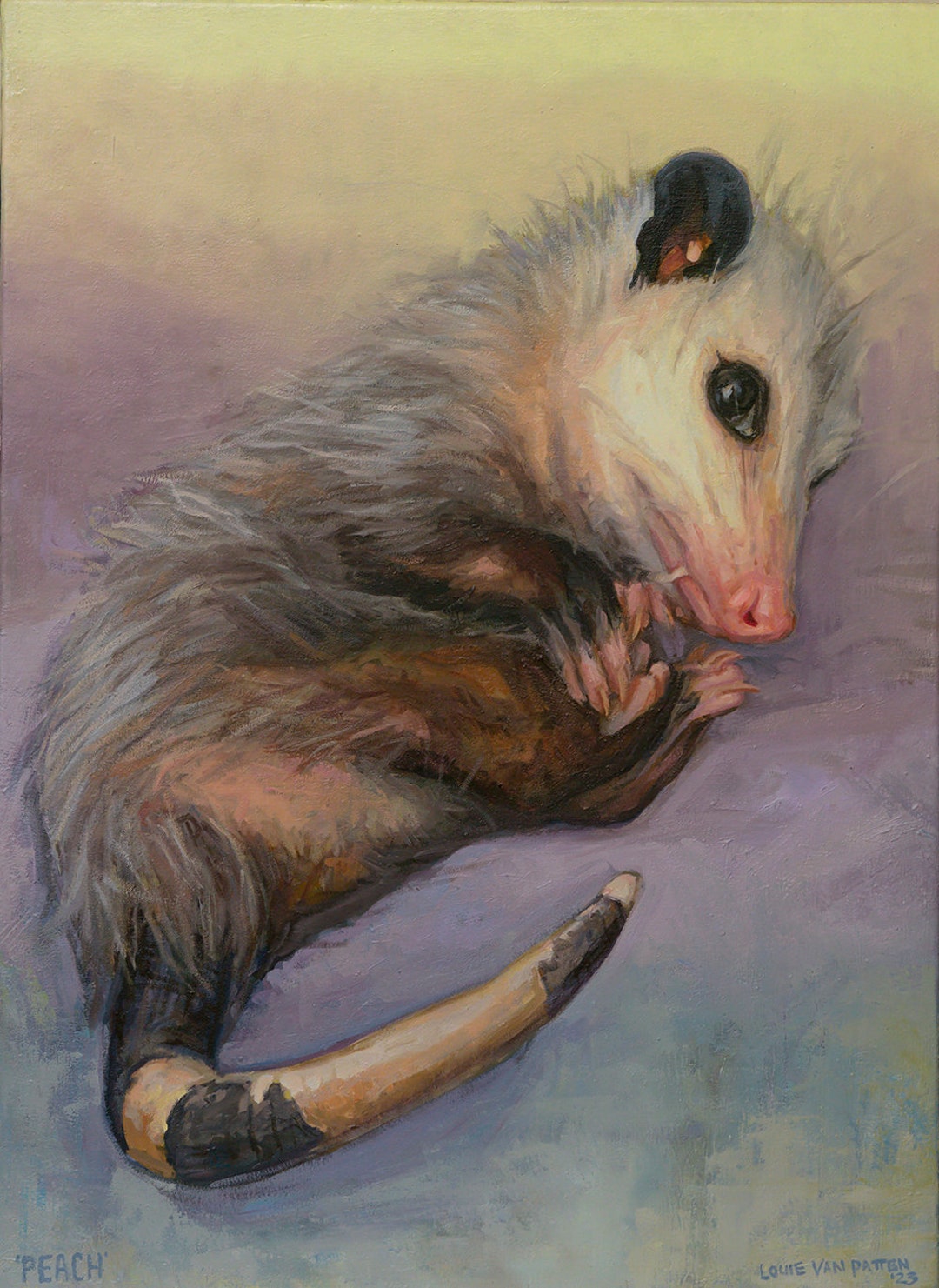 Peach, Oil on Canvas Original Louie Van Patten 30x22in - Artwork Direct ...