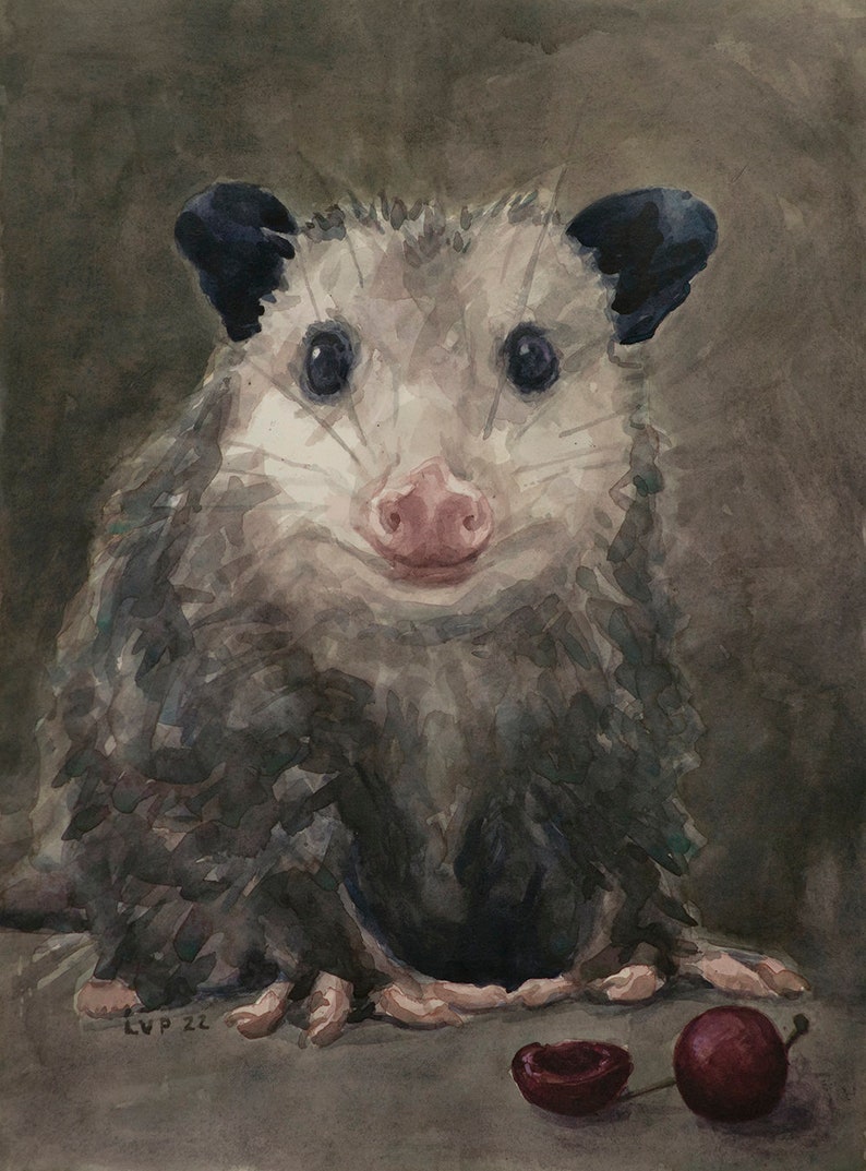 Opossum With Cherry, Print From Watercolor Painting by LVP, XL - 13 X ...
