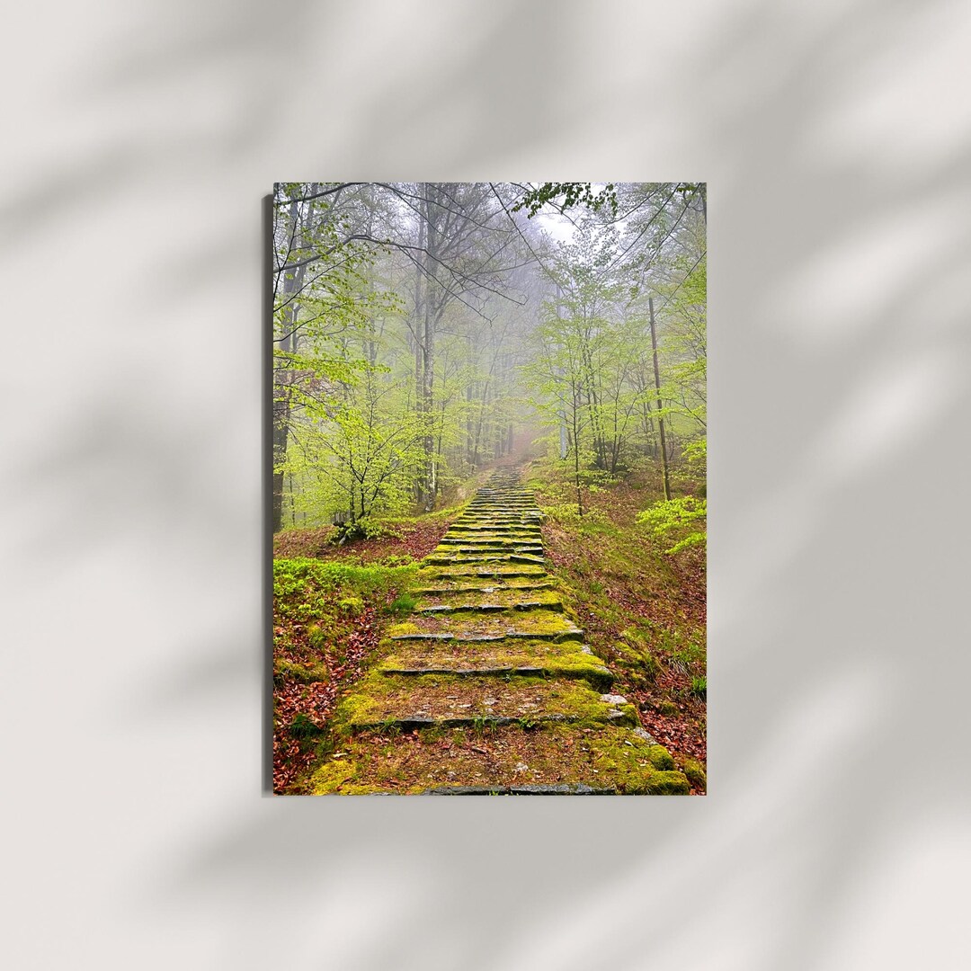 Mossy Forest Path Wall Art - Misty Woodland Stairs Print - Enchanted Nature Photography - Green ...