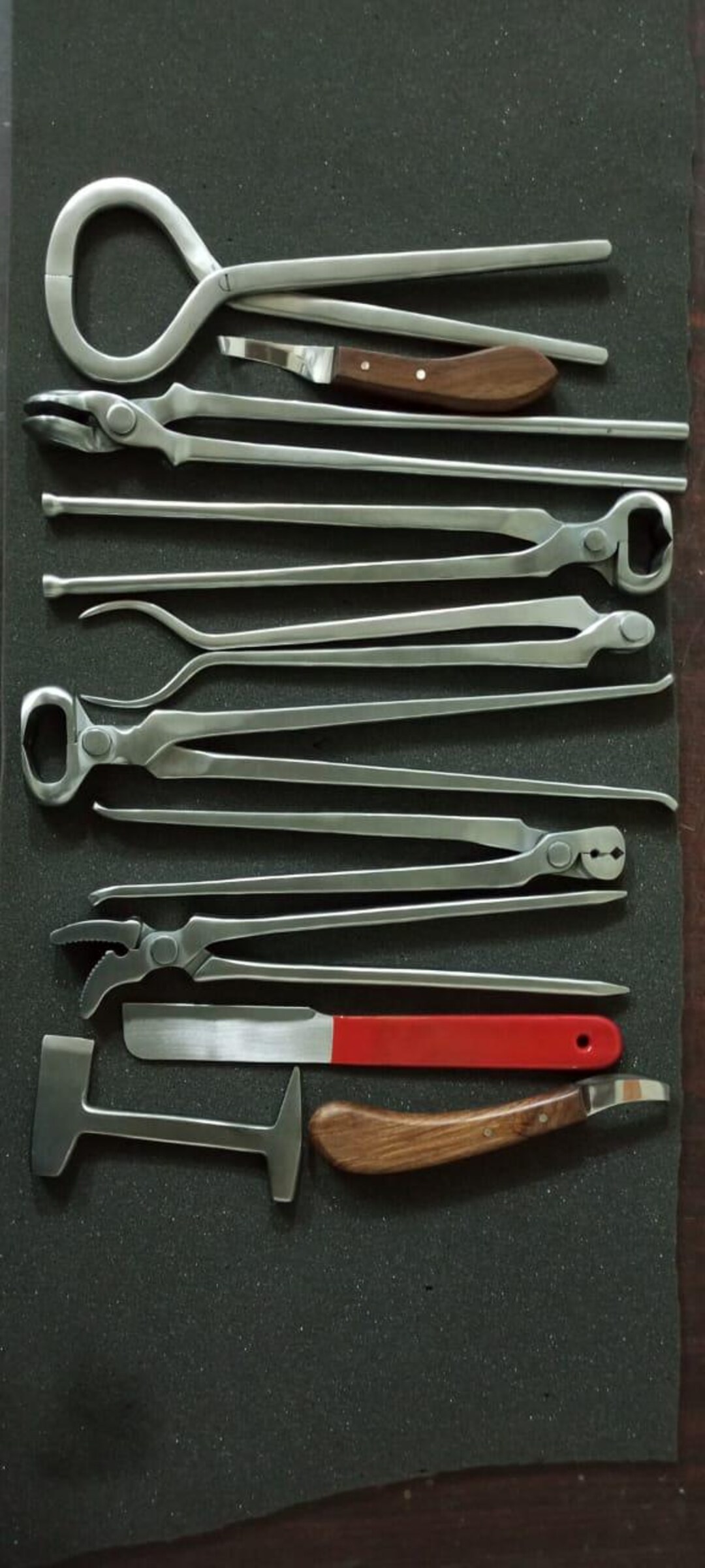 Heavy Duty Professional Farrier Tools Kit Including Hoof Clincher ...