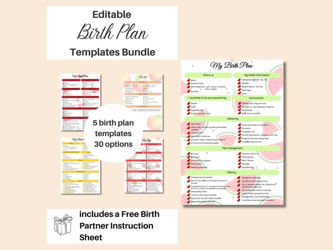 Visual Birth Plan Template Editable in Canva, One or Two Pages With a C ...