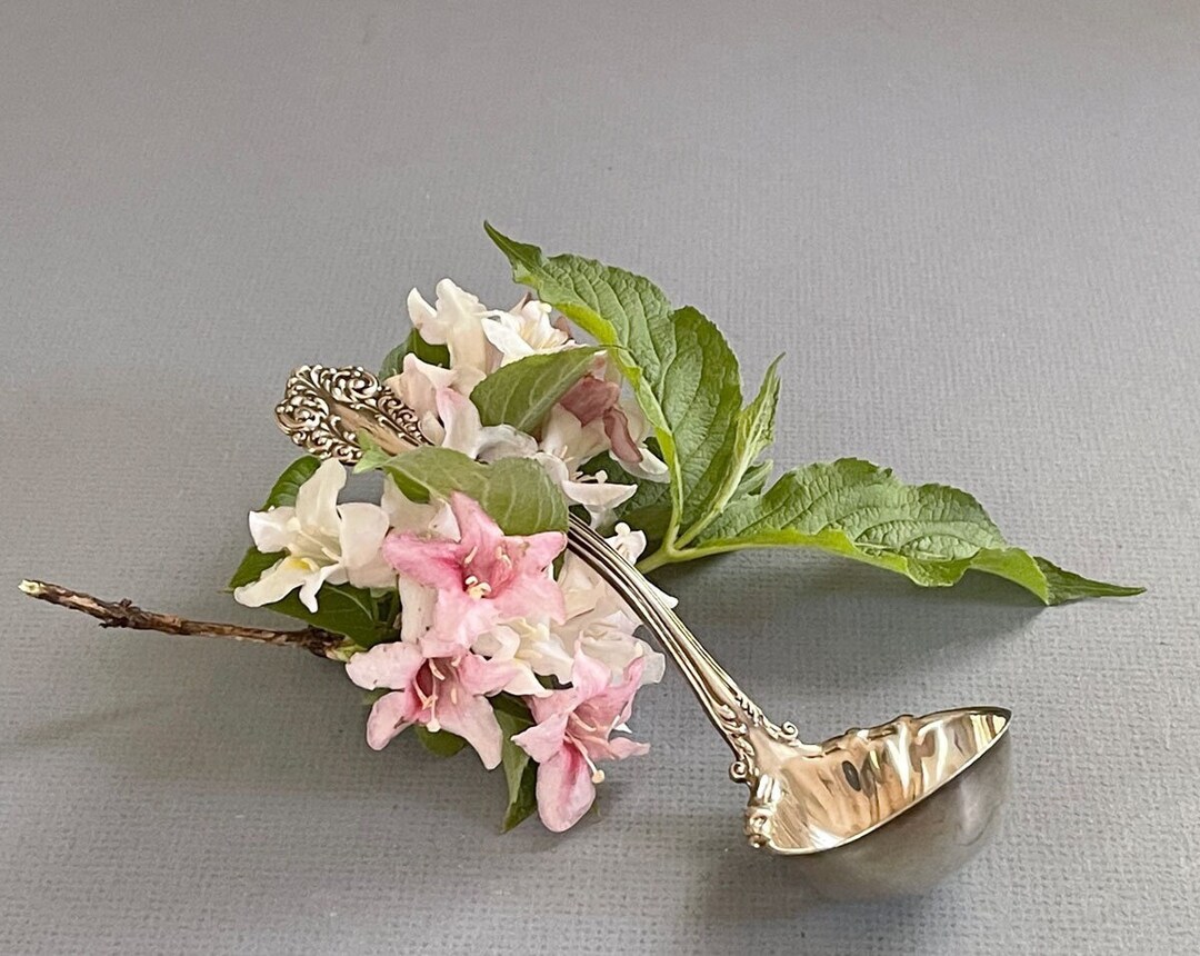 Sterling Cream Ladle Florentine Pattern by Alvin Manufacturing Co ...