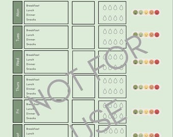 Printable Daily Planner With Meals, Exercise and Mood Tracker - Etsy